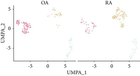 clustering of single cell transcriptome data a dynamic clustering