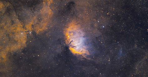 The Tulip Nebula In Cygnus Dont Miss This Beautiful Emission Nebula