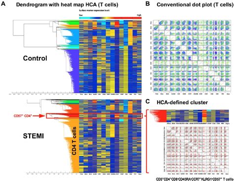 hierarchical clustering analysis of 13 parameter flow cytometry data