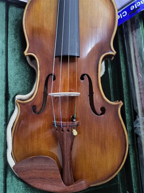 효정 바이올린 800호 풀사이즈 당근 중고거래