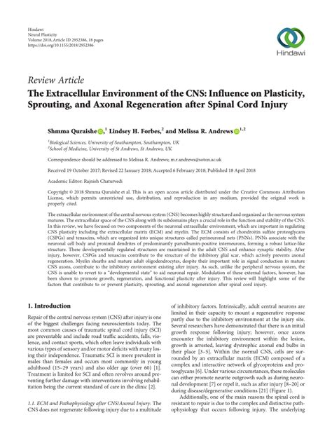 Pdf The Extracellular Environment Of The Cns Influence On Plasticity Sprouting And Axonal