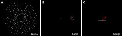 Stimuli A Global Task Participants Observed A Radial Optic Flow Field