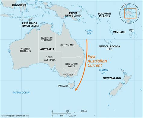 East Australian Current How Cold 🥶or Warm ☀is It At Your Beach