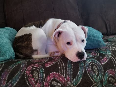 She Make Herself Smol I D Rather Be Writing