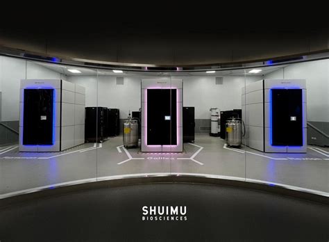 From Sample To Structure A Visual Journey Through The Cryo EM Process