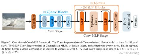 论文阅读笔记 Mlp系列——mlp部分汇总（cycle Mlp，hire Mlp，sparse Mlp，convmlp） 阿里云开发者社区