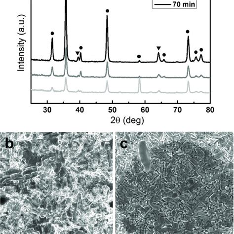 Cvd Growth Of Circular Graphene Islands On A W Cu Substrate A A Download Scientific Diagram