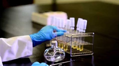 세균의 배양혐기성배양법 1 Youtube