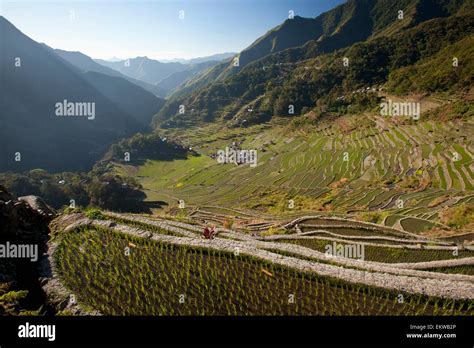 Aerial View Of Batad Rice Terraces Batad Luzon Philippines Stock