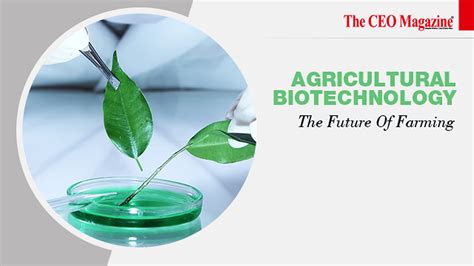 Agricultural Biotechnology The Future Of Farming