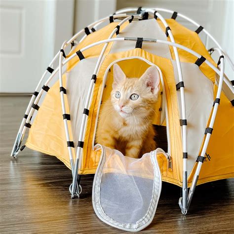 Tiny Tents