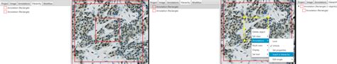 Subcellular Detection After Cellpose Segmentation Image Analysis