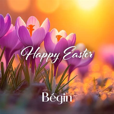 Vincent B Melanson Mba Posted On Linkedin