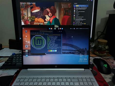 Problem Installing Linux Mint Rlinuxmint