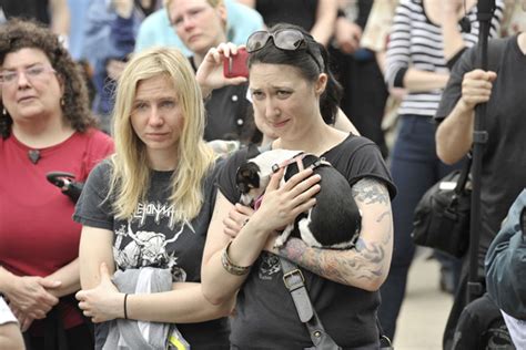 David Bones Hebert Memorial