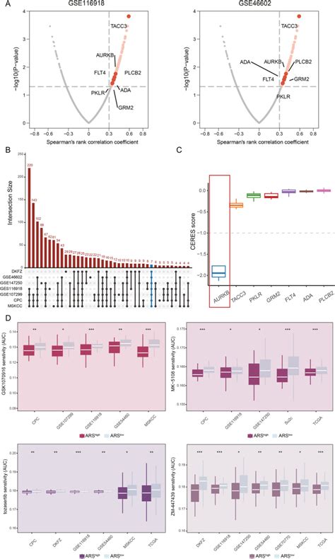 Machine Learning Based Androgen Receptor Regulatory Gene Related Random Forest Survival Model