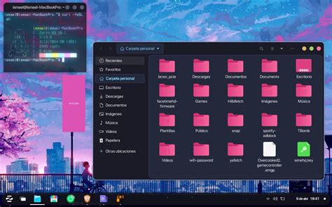 Customization Of Terminal Appearance Customization Zorin Forum