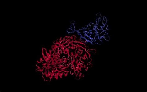 NGL Viewer From MWE Stephen Shank Observable