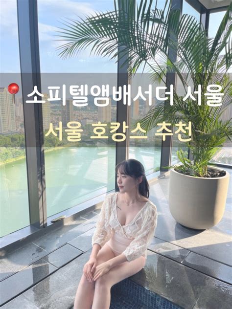 소피텔앰배서더 서울 호캉스 수영장 룸서비스 헬스장 네이버 블로그