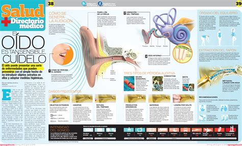 Cuidados Del Oído Infografías En Castellano