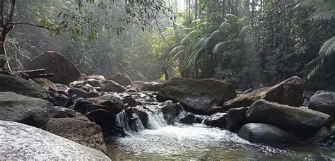 Forest Water Stream Photograph By Ganeswaran Perumal Fine Art America