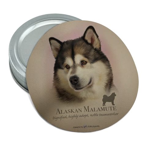 Are Malamutes Hyper