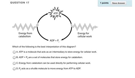 Solved Question 17 1 Points Save Answer Atp Energy Fronm