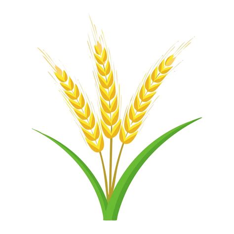 A Design A Wheet Vector Illustration And Clean Background Premium Vector