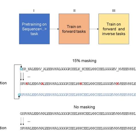 Training Strategy Featuring Three Stages A The First Stage Download Scientific Diagram