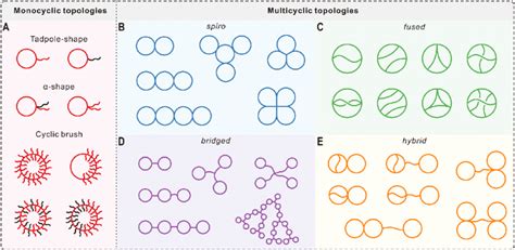 Selected Macromolecular Architectures Derived From Cyclic Polymers A