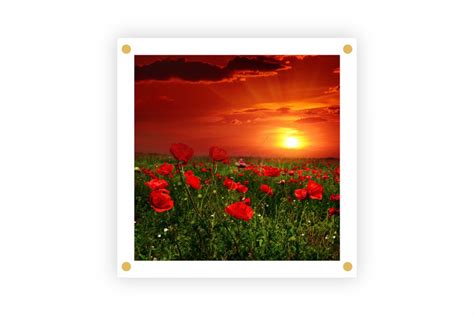 Custom Metal ACM Signs