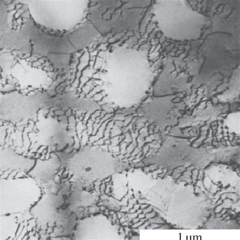 Tem Micrograph Showing Dislocation Looping In Waspaloy Fatigued At Room