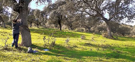 Field Work To Select Short Term Grazing Exclusion Areas