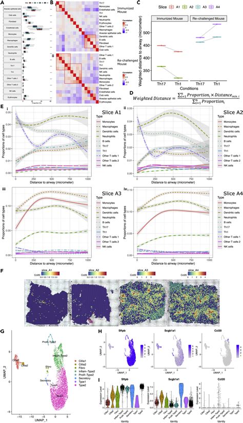 Integrative Analysis Of Spatial Transcriptome With Single Cell Transcriptome And Single Cell