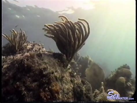 Sexunderwater E Scuba Girls Play In The Ocean Underwater In Ocean Play