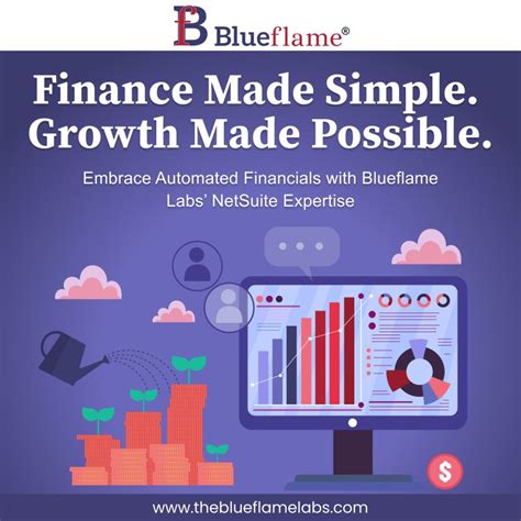 Blueflame Labs On Linkedin Blueflamelabs Netsuite Erp Netsuitepartner Customization Finance