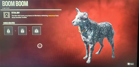Boomer Easter Egg Dont Know If Posted Yet Rfarcry