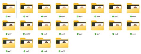 Github Hiyuantang Fau Dataset A Facial Action Unit Dataset