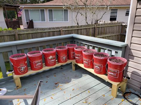 Db Setup With Some Questions Rhydroponics