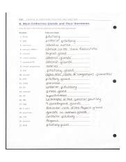 EXERCISE 25 ENDOCRINE STRUCTURE AND FUNCTION 10 414 EXERCISE 25 ENDOCRINE STRUCTURE AND