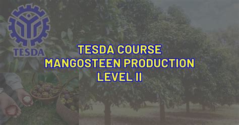 Tesda Mangosteen Production Level Ii Course Tesda Online Program
