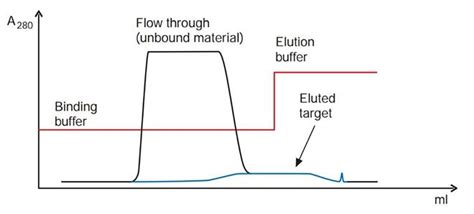 Affinity Chromatography Troubleshooting