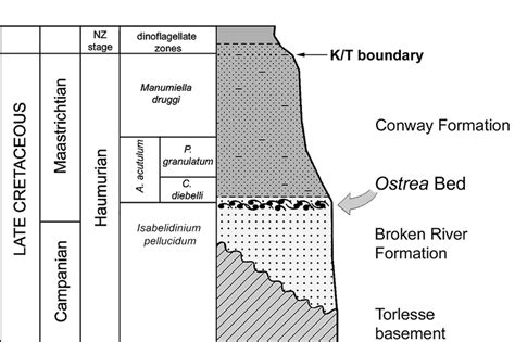 Upper Cretaceous Lower Paleogene Stratigraphy Of North Canterbury Download Scientific Diagram