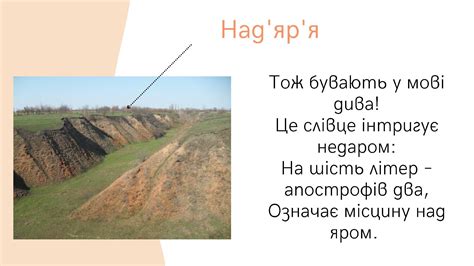 5 клас НУШ Правила вживання апострофа Презентація Українська мова