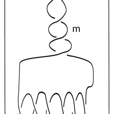 Double Twist Knots M P Denote Number Of Full Twists Download Scientific Diagram