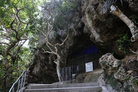 2ページ目 シルミチューの写真素材写真素材なら写真AC無料フリーダウンロードOK