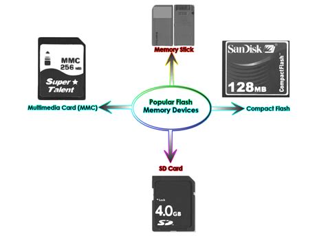 Flash Memory Popular Flash Memory Devices