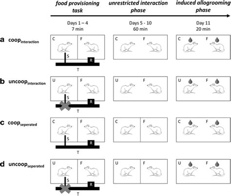 Experimental Setup The Experiment Consisted Of Three Phases And Four Download Scientific