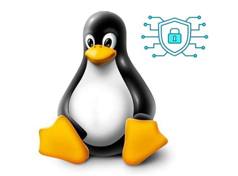 Protect Your Linux System How SysReseau Net