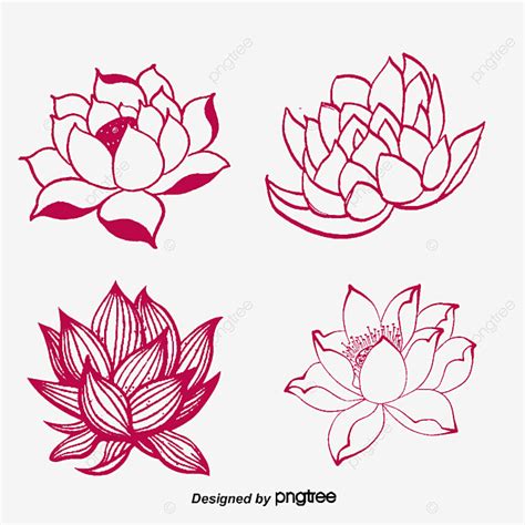 제인 펜 벡터 로터스 연꽃 클립 아트 연꽃 벡터 잉크 Png 일러스트 및 Psd 이미지 무료 다운로드 Pngtree